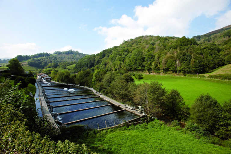 Elevage de poisson, tout sur la pisciculture - Atelier Poisson